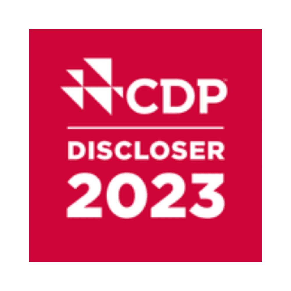 Cogna: Inovação e educação em sintonia